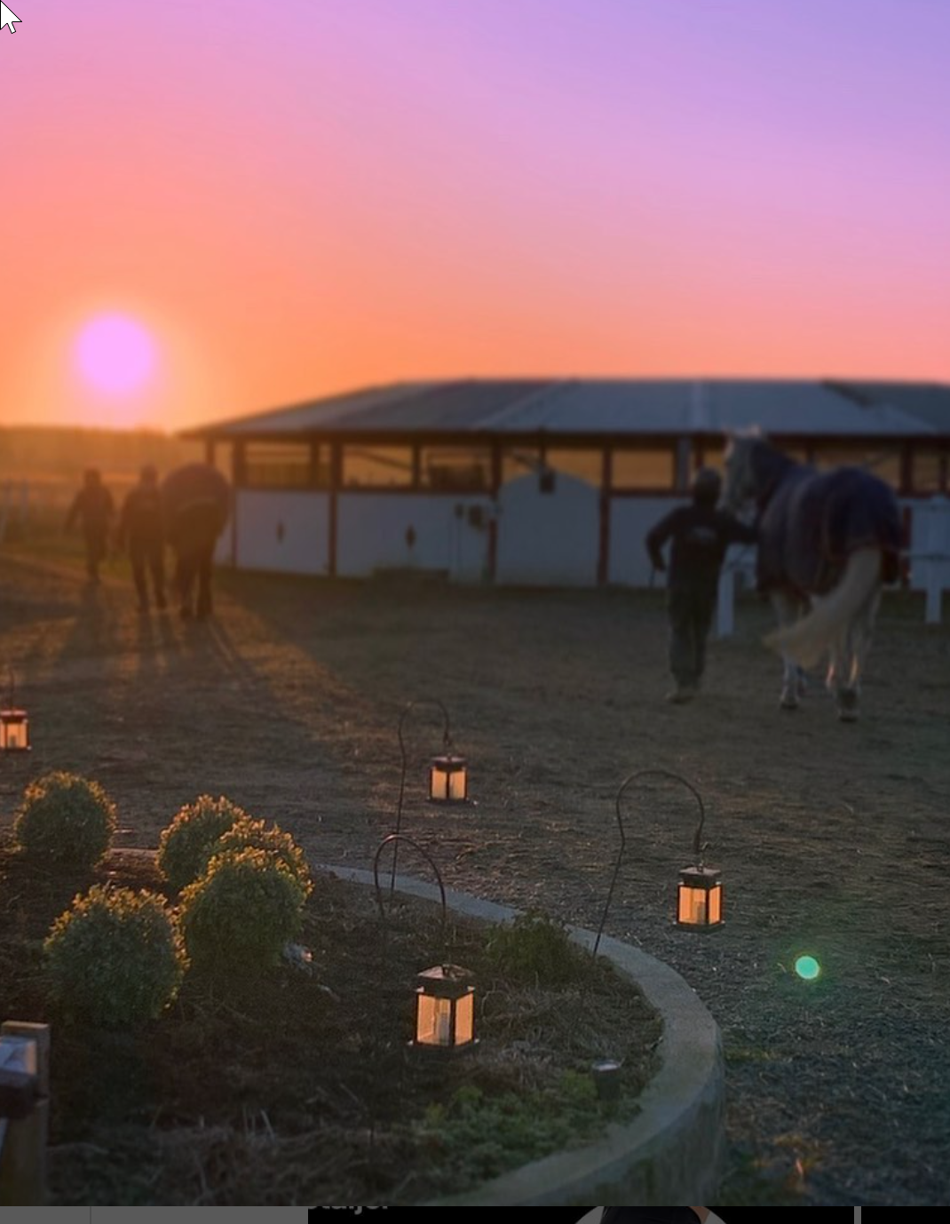 How do you create structure in an everyday life that never stands still ...